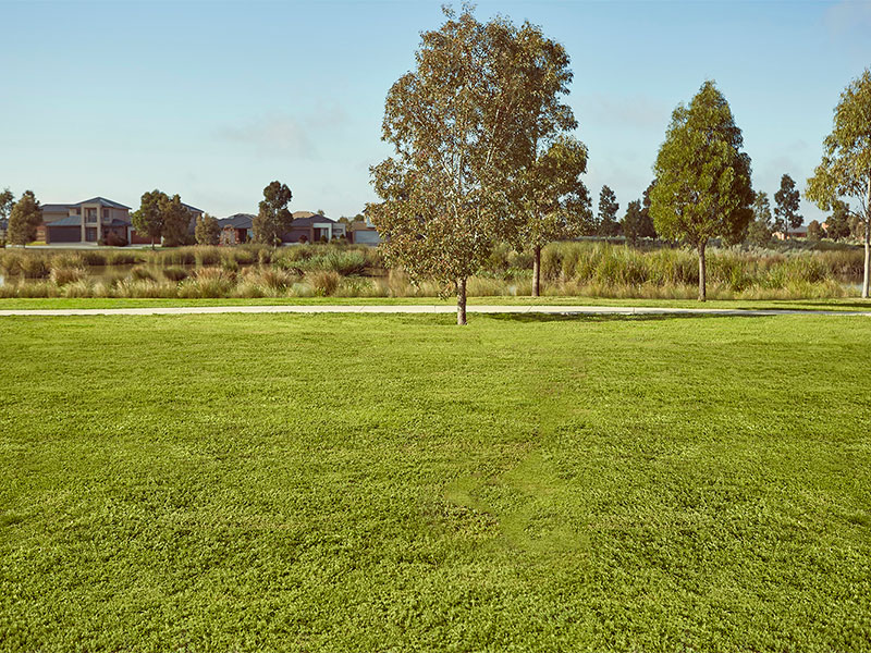 Experience Featherbrook