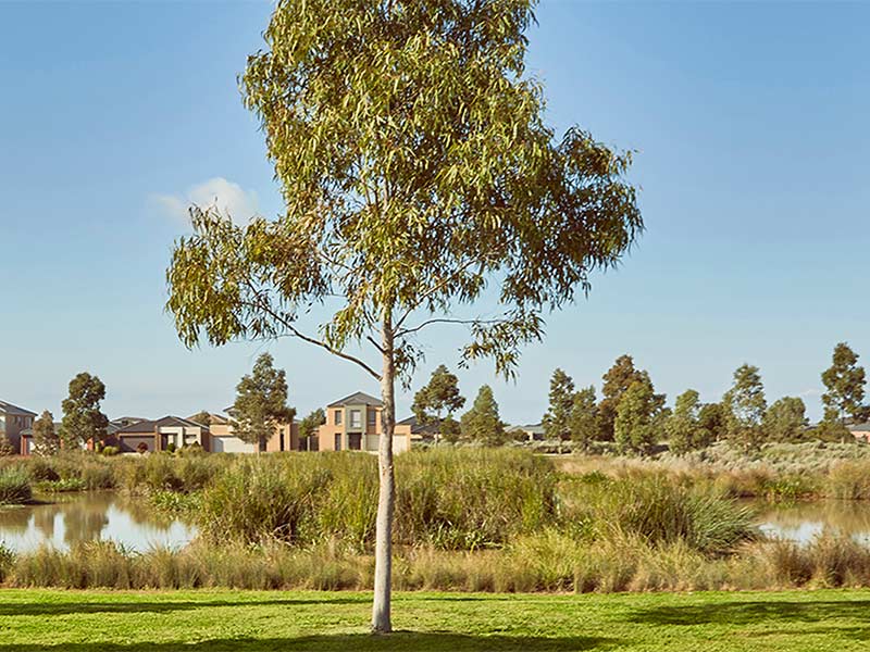 Experience Featherbrook